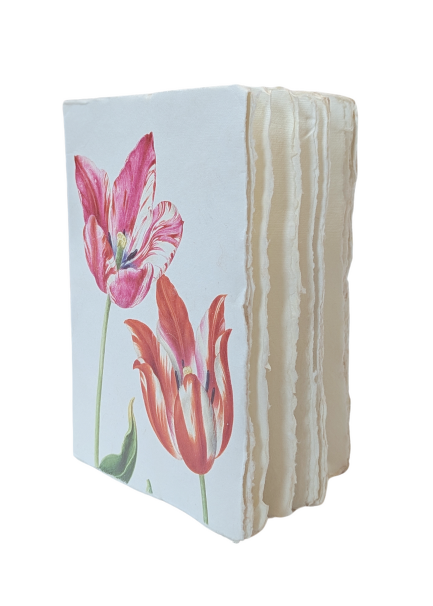 Double Tulip Parchment Paper Notebook | European décor for the modern ...